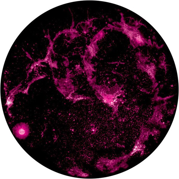 Apollo Gobos | StageLightingStore