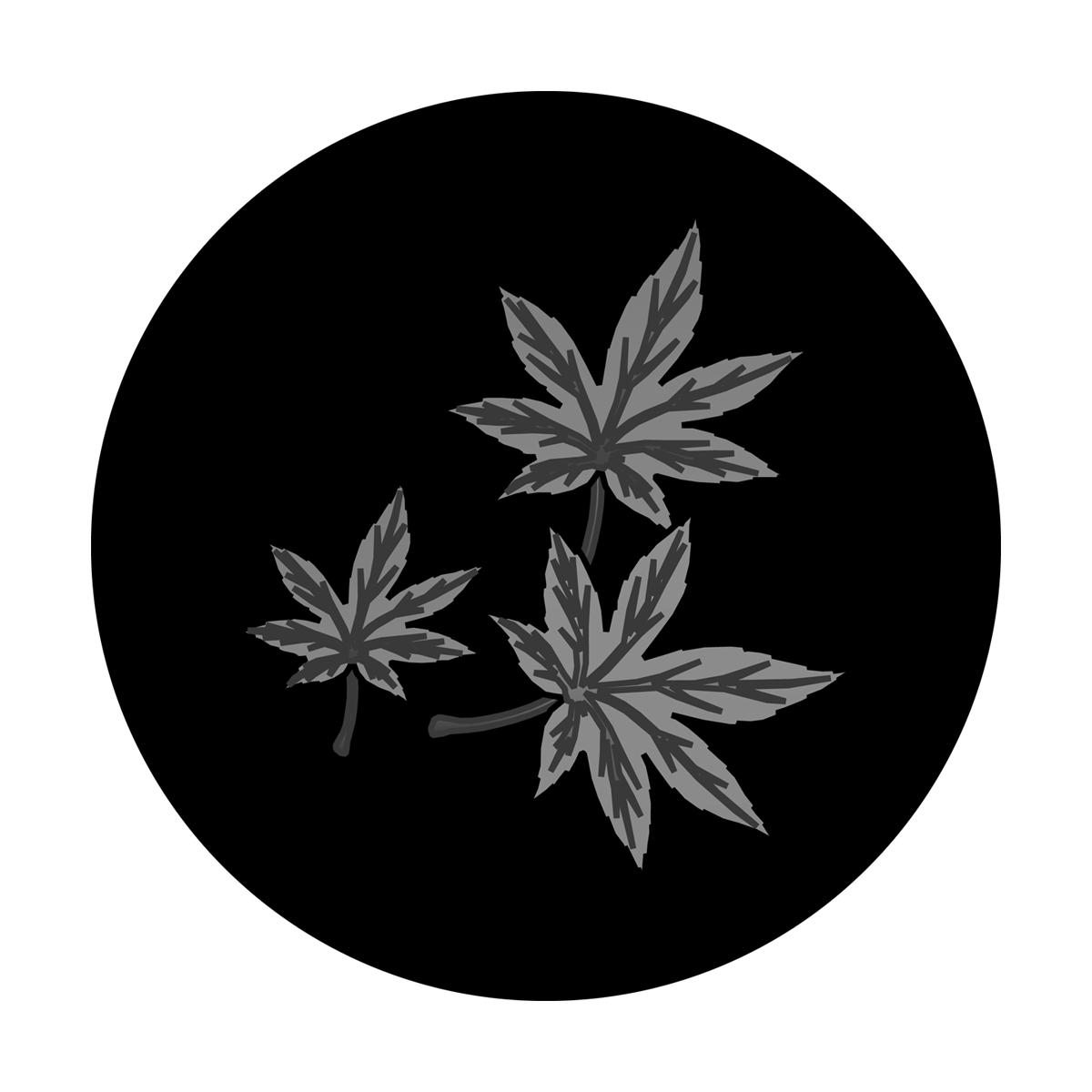 Apollo SuperRes High End Glass Gobo 1323 Maple Leaf (Apollo HE-1323)