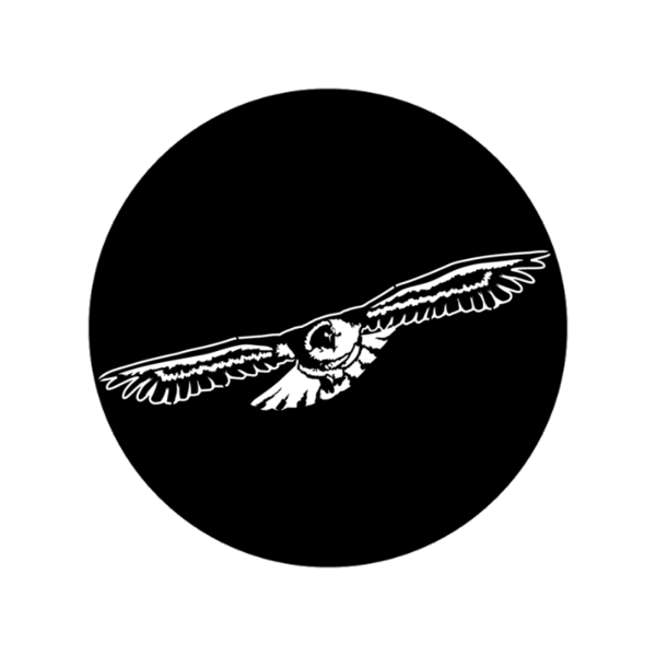 Apollo Metal Gobo 1136 Soaring Eagle (Apollo ME-1136)
