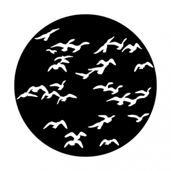Apollo PrintScenic Glass Gobo ME1137 Flock of Birds (Apollo PG-ME1137)