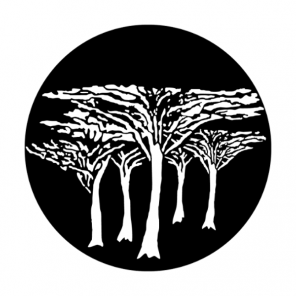 Apollo PrintScenic Glass Gobo ME3556 African Veldt (Apollo PG-ME3556)