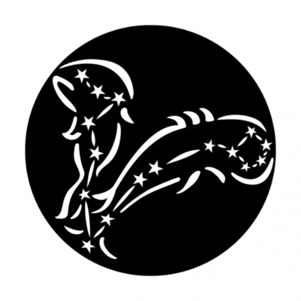 Apollo PrintScenic Plastic Gobo ME7023A Constellations Pisces The Fish ...