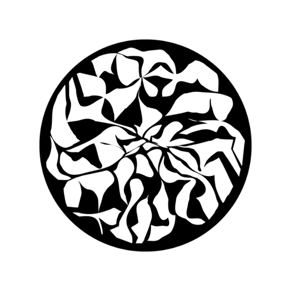 Apollo SuperRes Glass Gobo 0010 Modern Leaves (Apollo SR-0010)