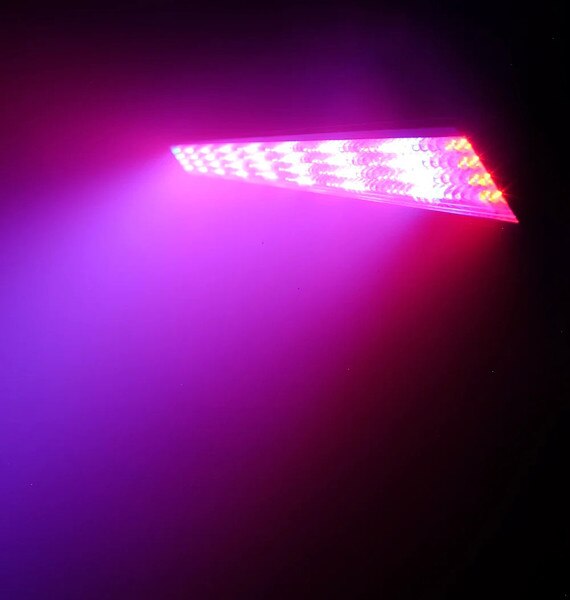 purple light bar