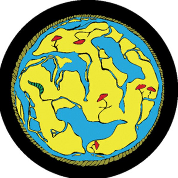 Rosco HD Plastic Gobo - World Map (Rosco Cool Ink HD 86609)