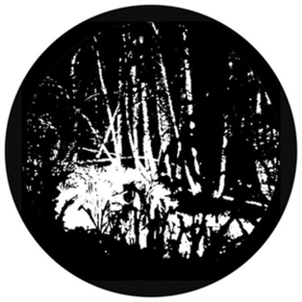 Rosco Tree & Forest Glass Gobos | StageLightingStore.com