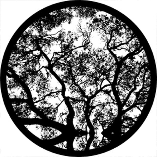 Rosco Tree & Forest Glass Gobos | StageLightingStore.com