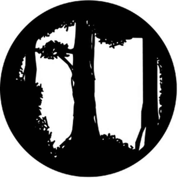 Rosco Steel Gobo - Forest Floor (Rosco Steel Gobo 77206)