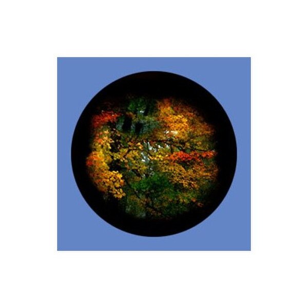 Rosco iPro Slide - Trees & Foliage 6903 (Rosco iPro Slide P6903)